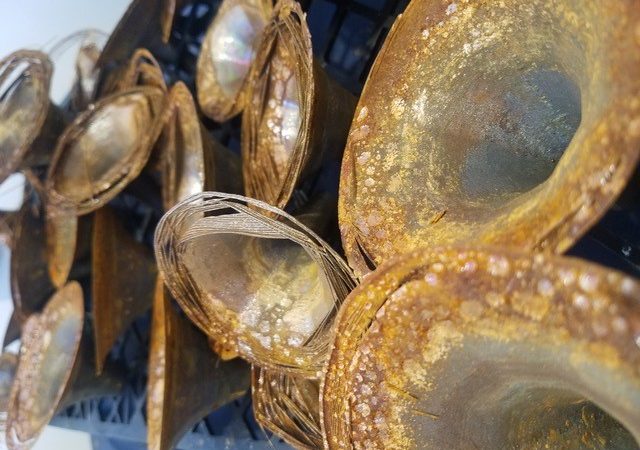 Inside the Exhibit: Opening Reception & Performance with Jesse ...