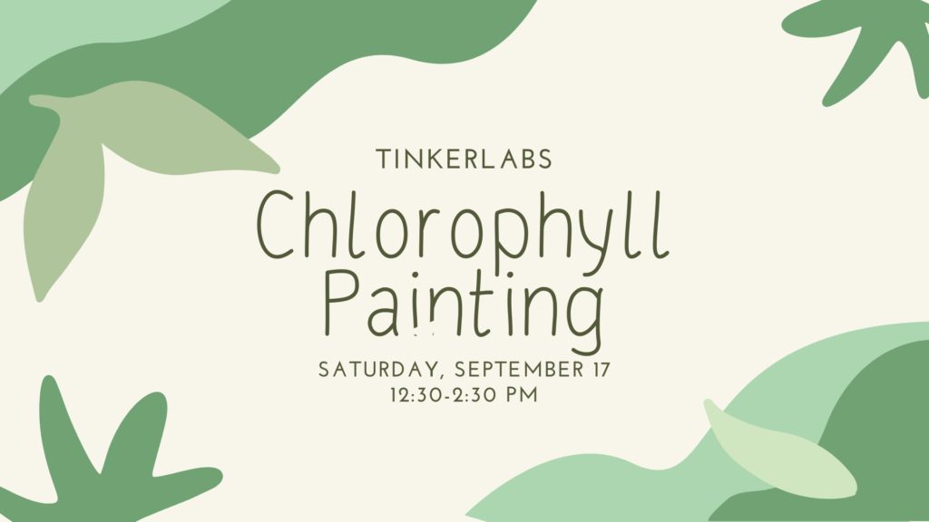 ExplorationWorks TinkerLabs: Chlorophyll Painting | Visit Helena, Montana