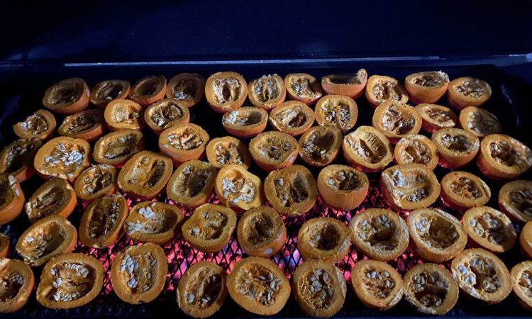 Fall Grill Out on the Gulch | Visit Helena, Montana