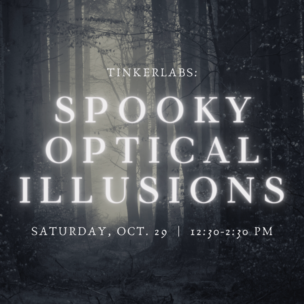 ExplorationWorks TinkerLab: Spooky Optical Illusions | Visit Helena ...