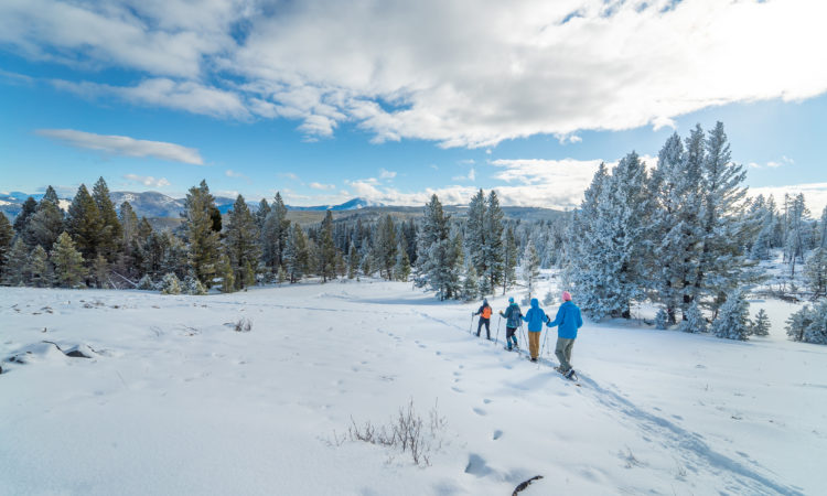 Things To Do | Visit Helena, Montana