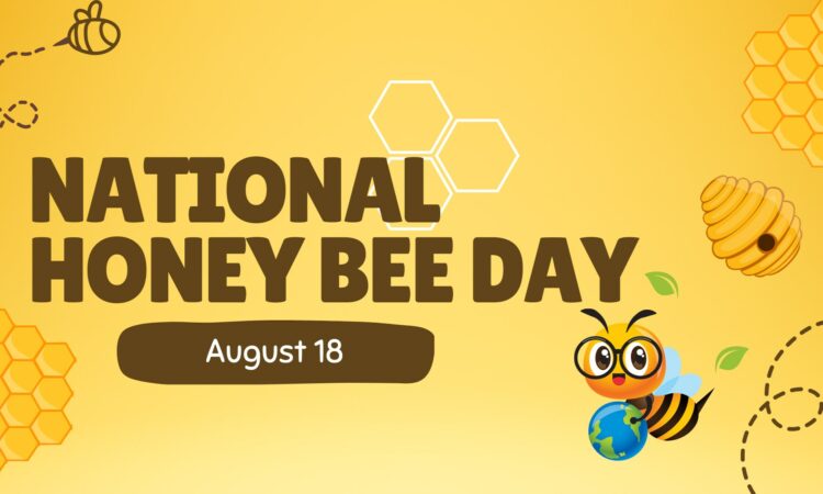 National Honey Bee Day | Visit Helena, Montana