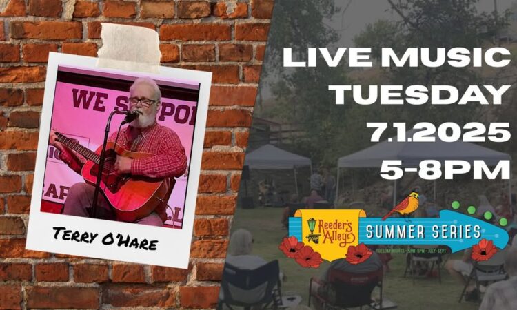 Reeder's Alley Summer Series: Terry O'Hare & Friends | Visit Helena ...